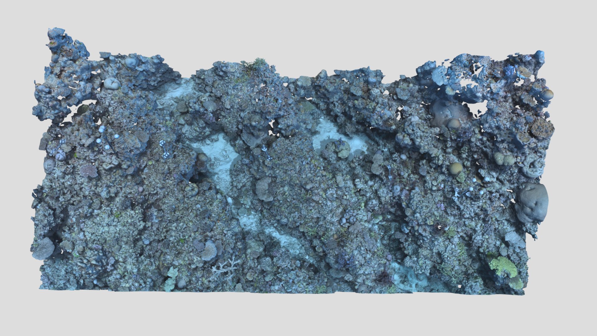 Davies_FL1S_P4_202101 - 3D model by EcoRRAP (@AIMSEcoRRAP) [67949cc ...