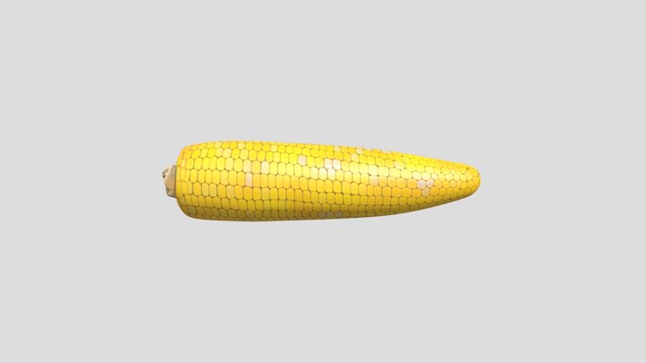 Corn 3D models - Sketchfab
