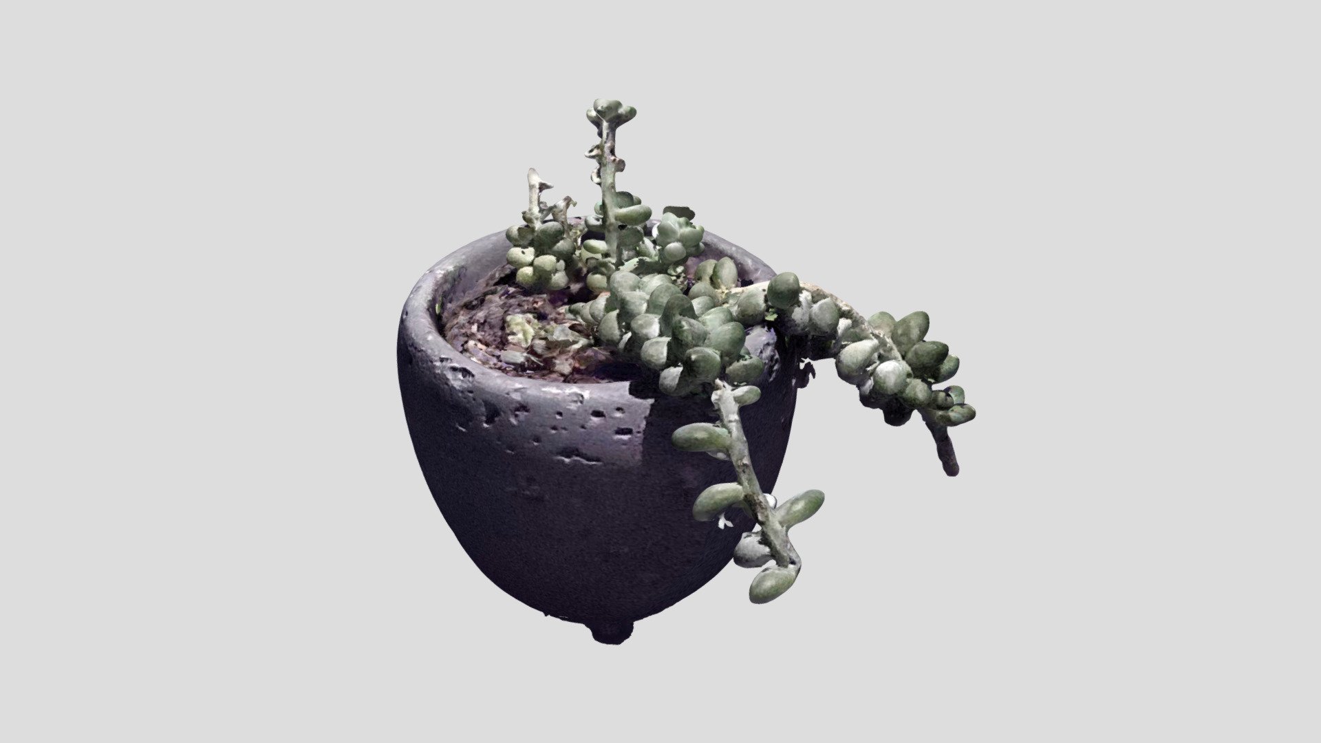 1225_14_tex - 3D model by shadowed [67a53b0] - Sketchfab