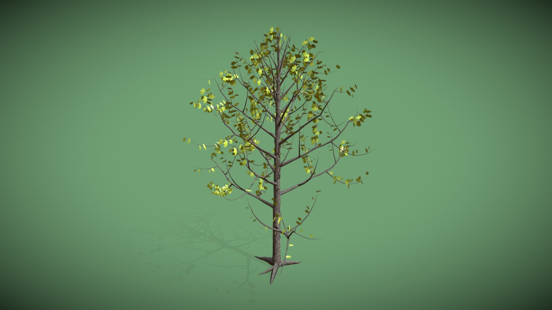 Tree - 3D model by PowerPoly [67aabb9] - Sketchfab