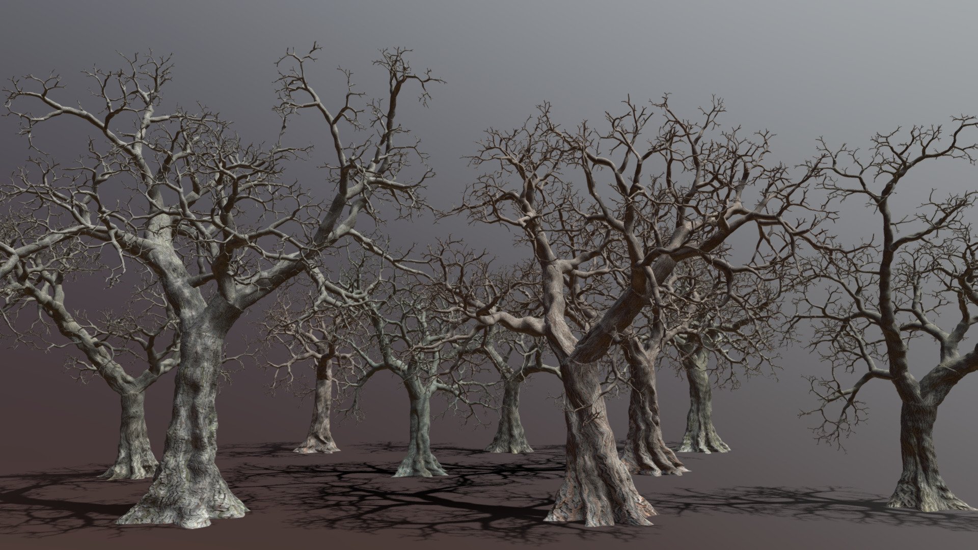 9 Linden Trees Pack (high-Poly) - Buy Royalty Free 3D model by Sereib ...