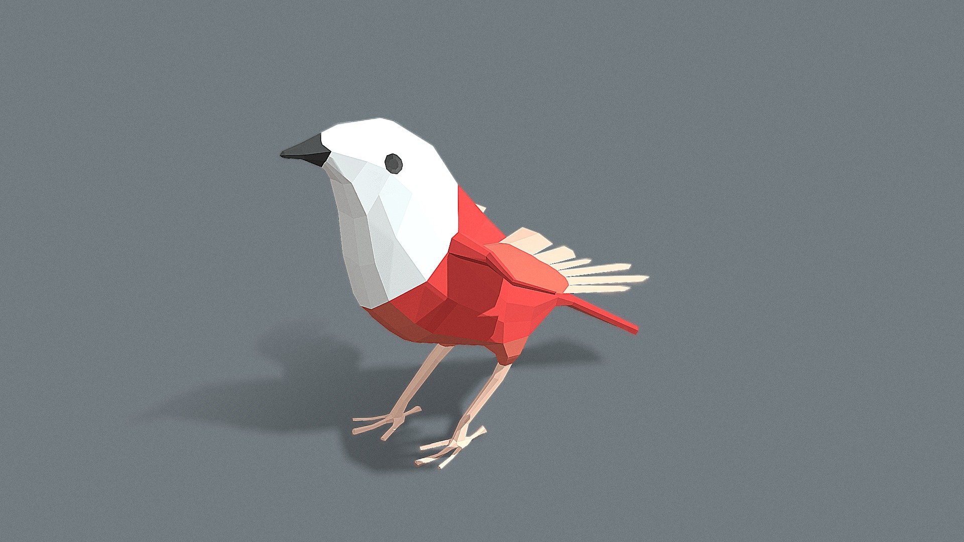 bird - Download Free 3D model by Paleo Modelist (@victory_) [67b5720 ...