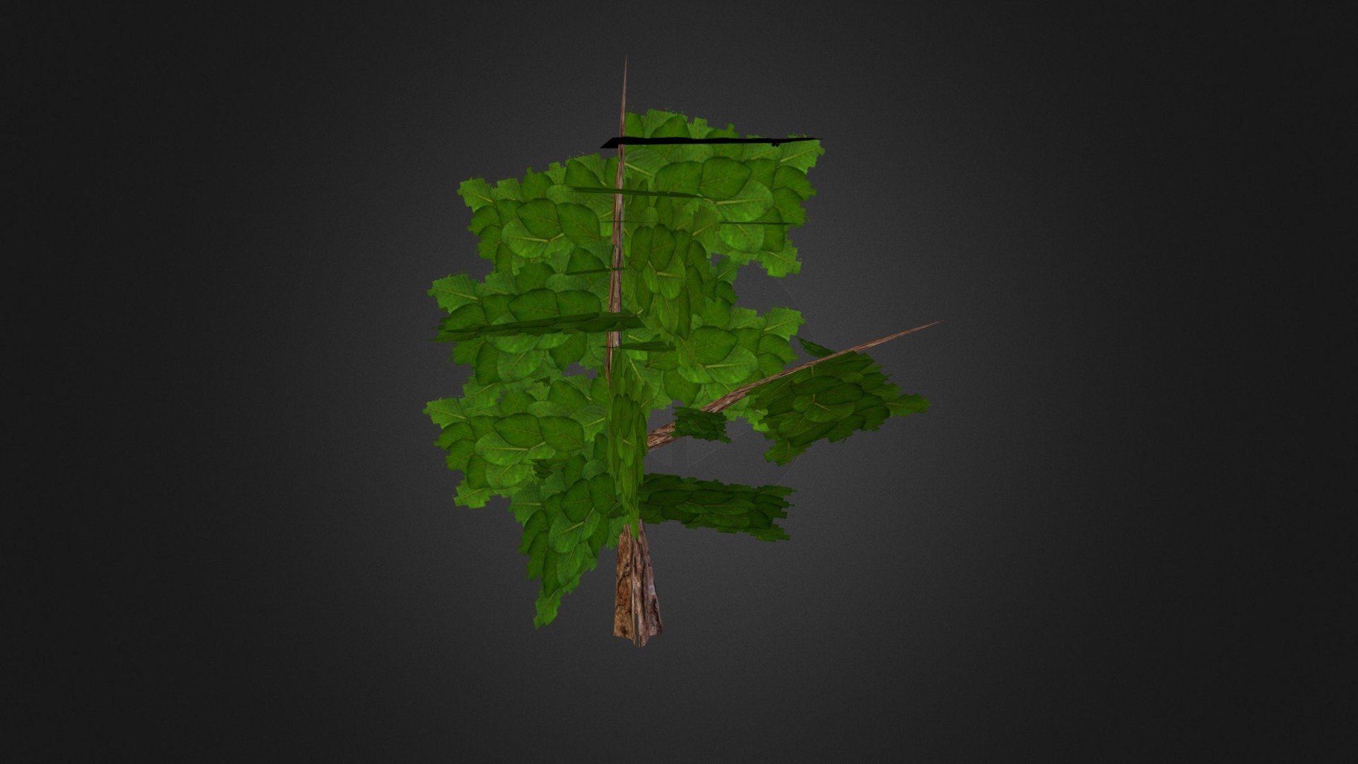 Tree - 3D model by woutercornelis [67bfcec] - Sketchfab