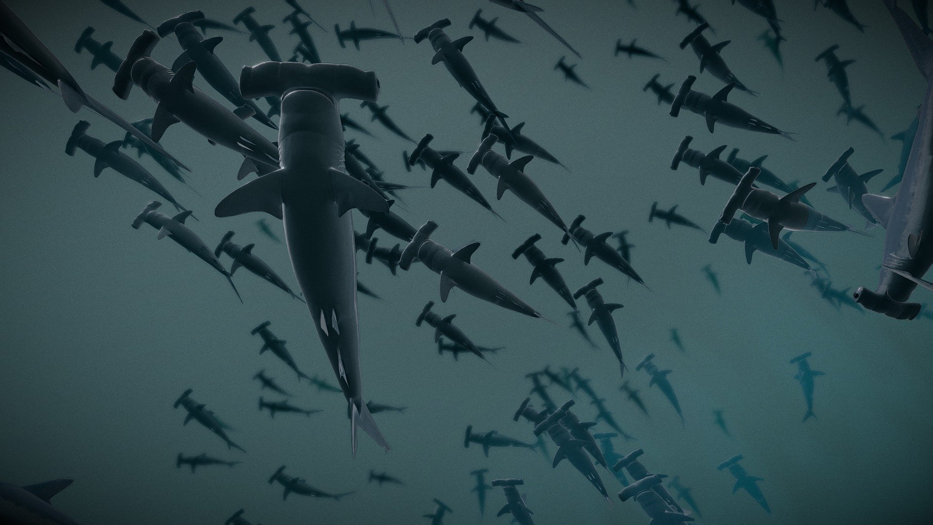 Hammerhead Sharks - 3D model by 3dsam79 [67bfd68] - Sketchfab