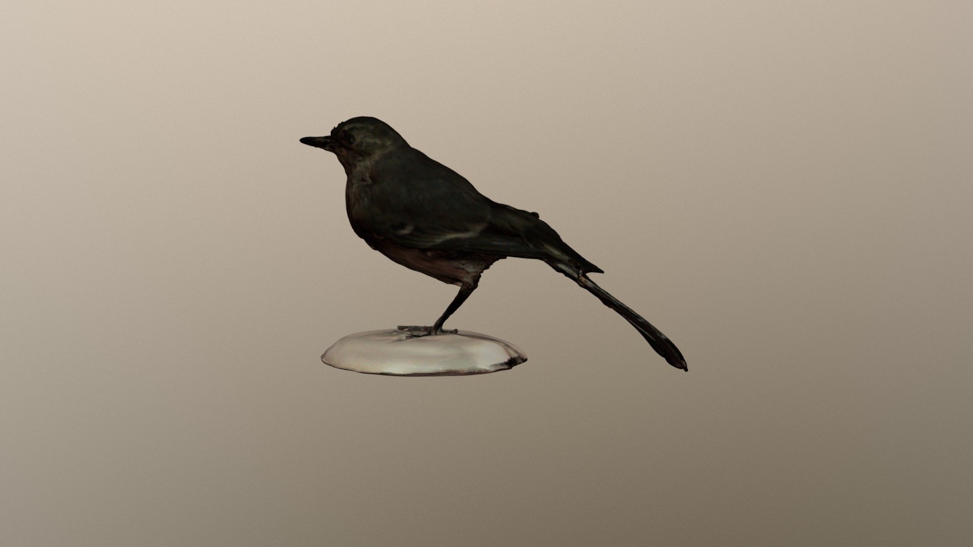 Bird - 3D model by Anton (@antsht) [67c741f] - Sketchfab