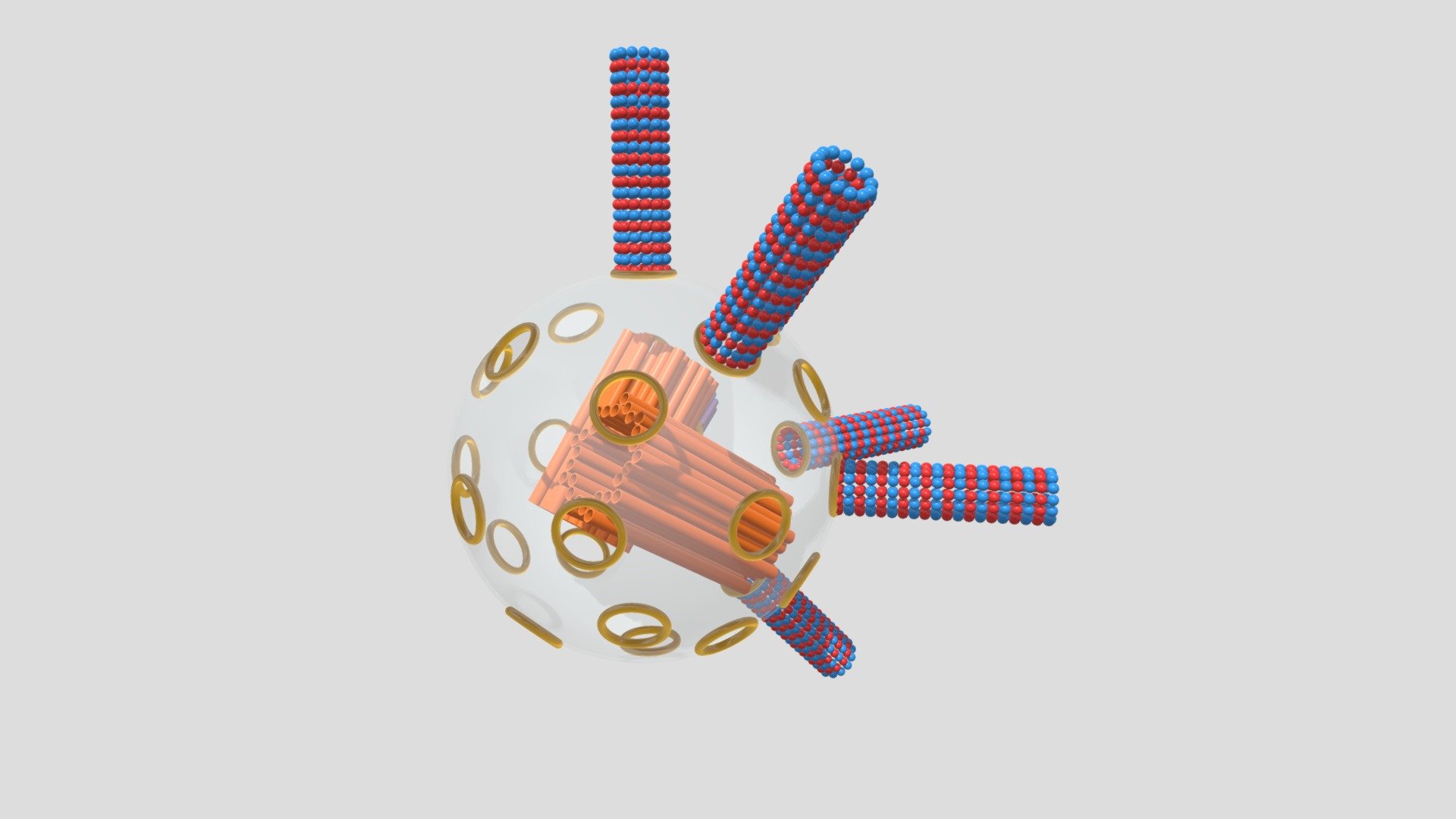 Centrosome - 3D model by Júlio Panzera (@juliopanz) [67c780f] - Sketchfab