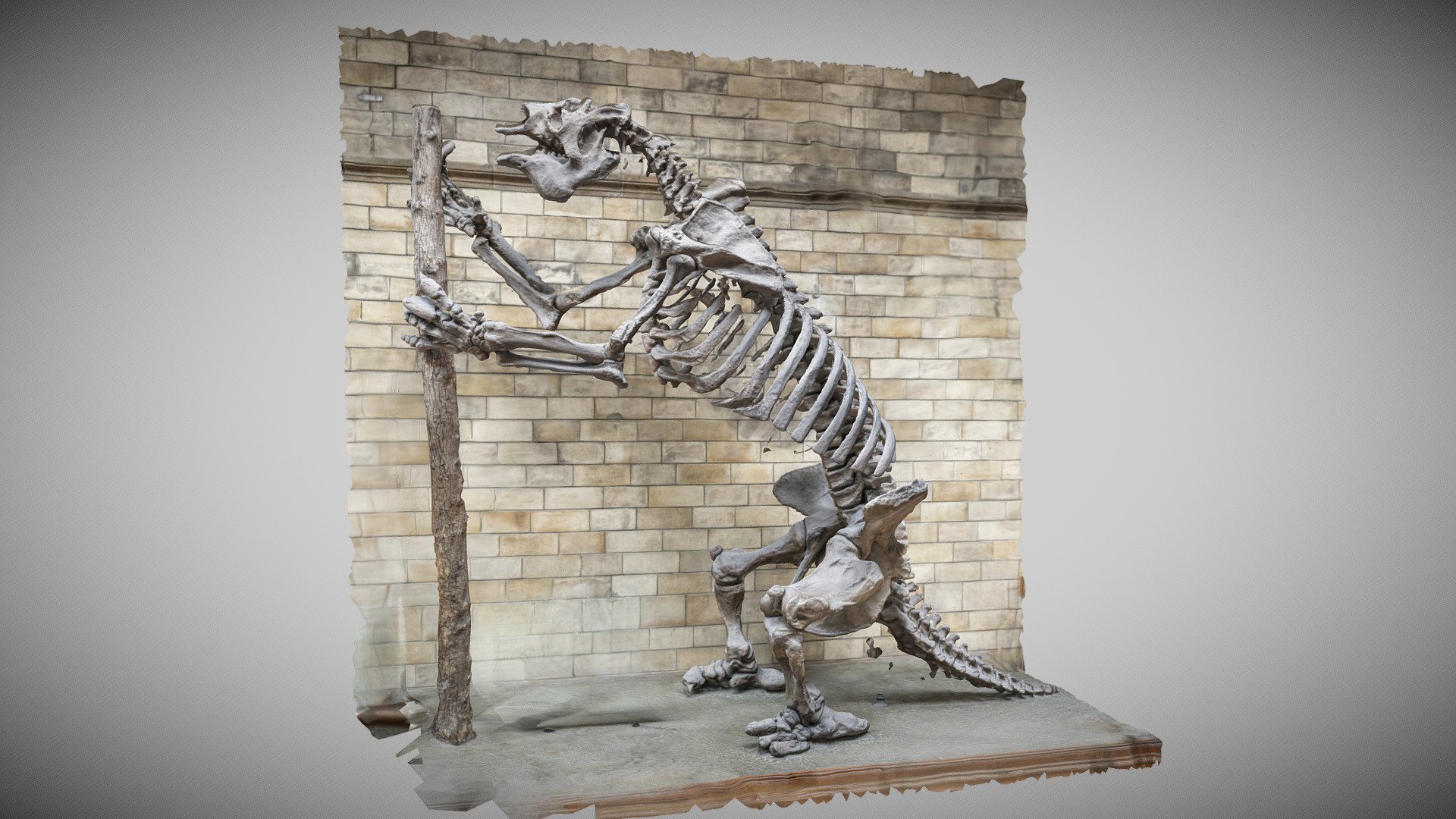 Megatherium - 3D model by martin.broen [67d2c84] - Sketchfab
