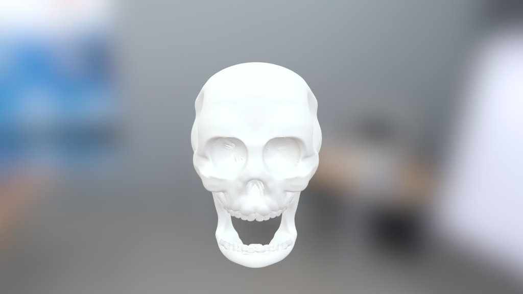 Skull - 3D model by Mustafa.Shakarchi [67d4147] - Sketchfab