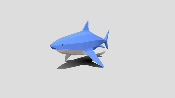 Sea-animal 3D models - Sketchfab
