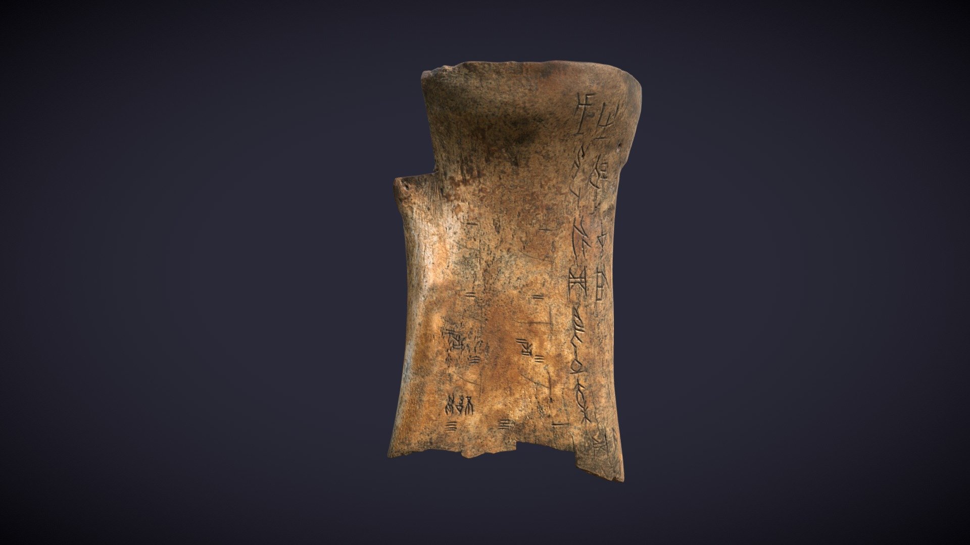Chinese Oracle Bone - Or 7694/1593 - 3D model by ThinkSee3D [67e25da ...