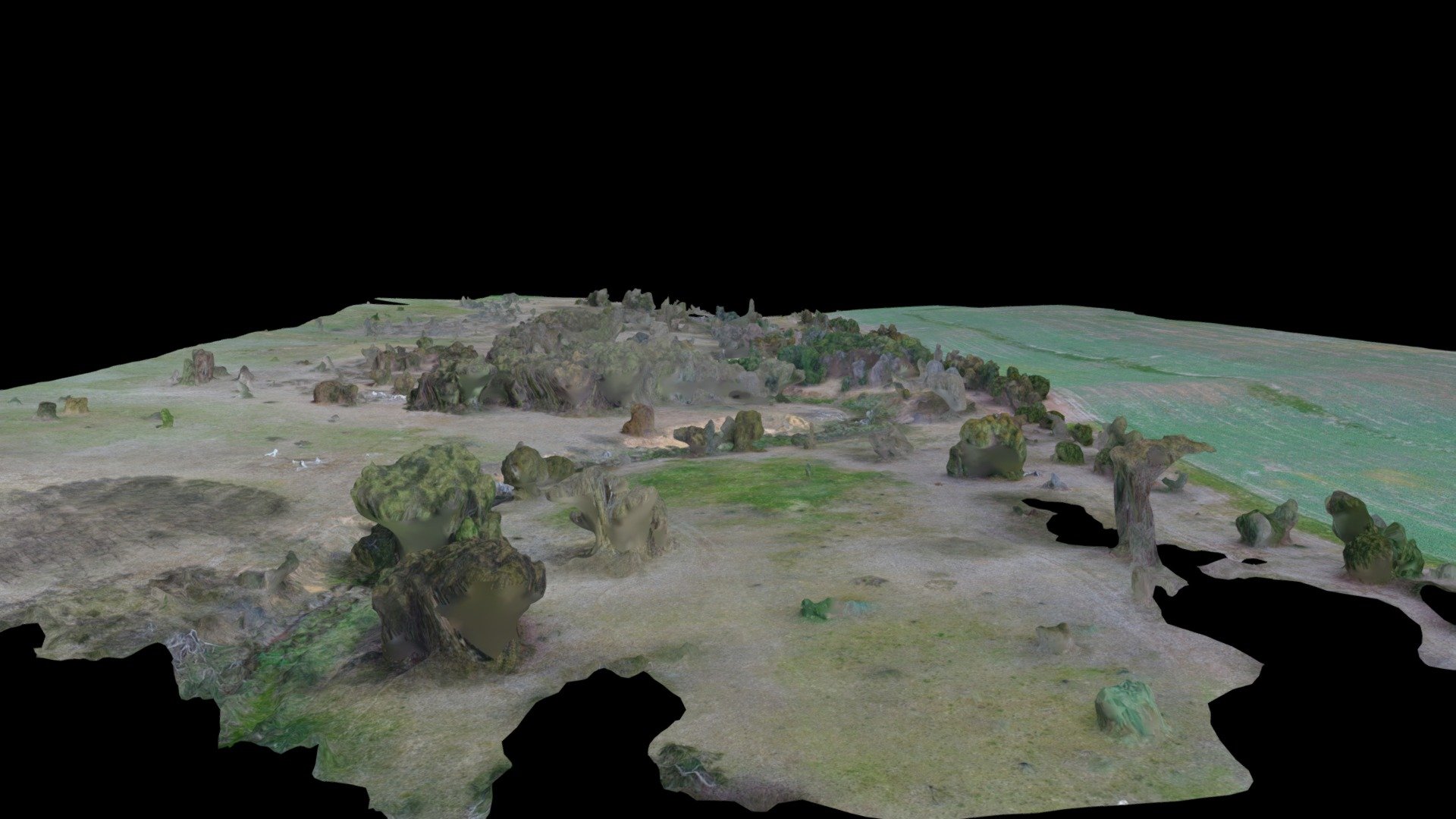Field - 3D model by Yazid Ninsalam (@yazidninsalam) [67e595c] - Sketchfab