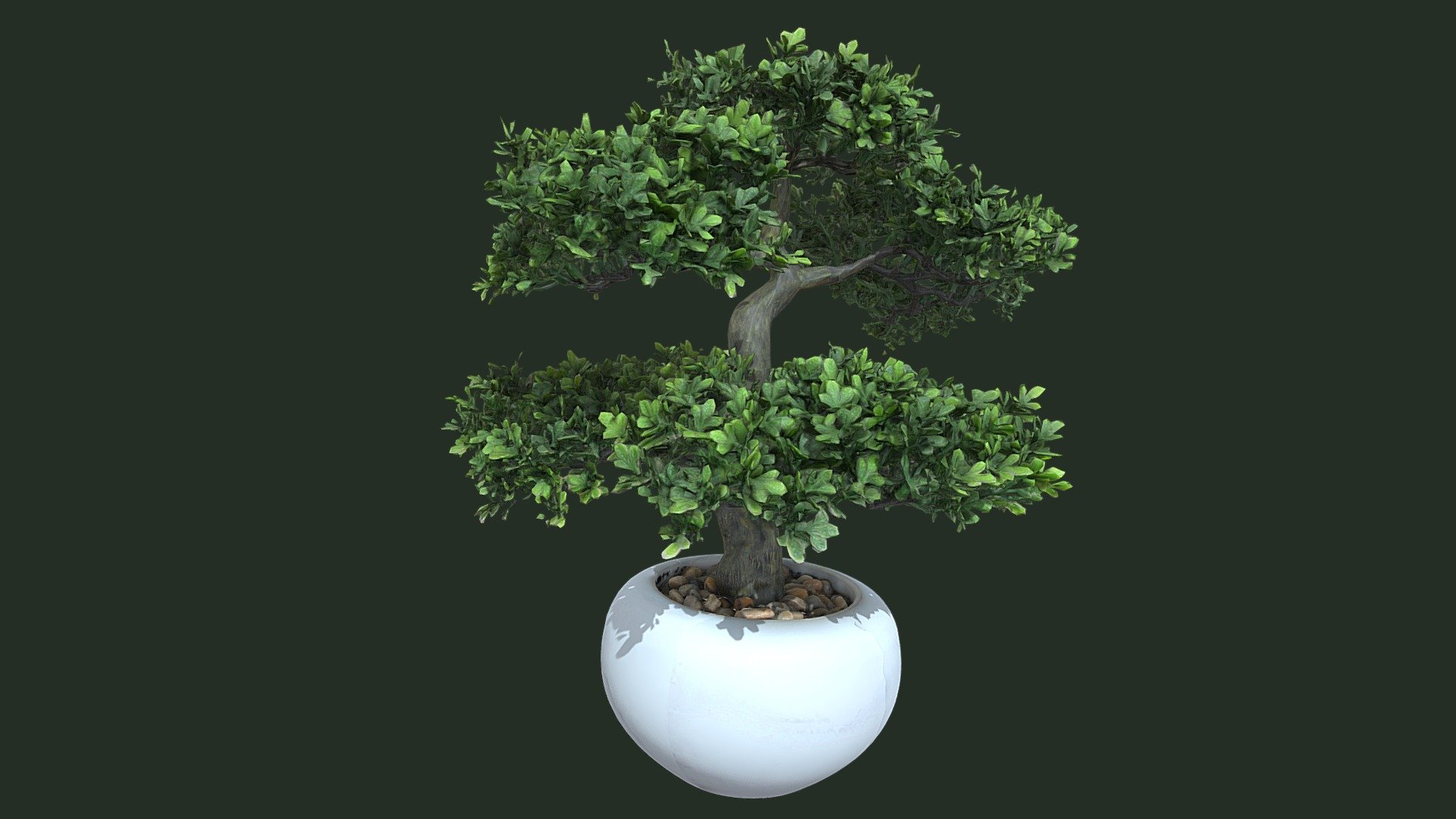 BONSAI - 3D model by varicoda [67e667d] - Sketchfab