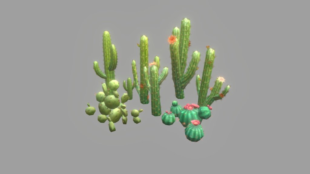 4 Cactus All In One - 3D model by PinkCloud Studio (@pinkcloudstudio ...
