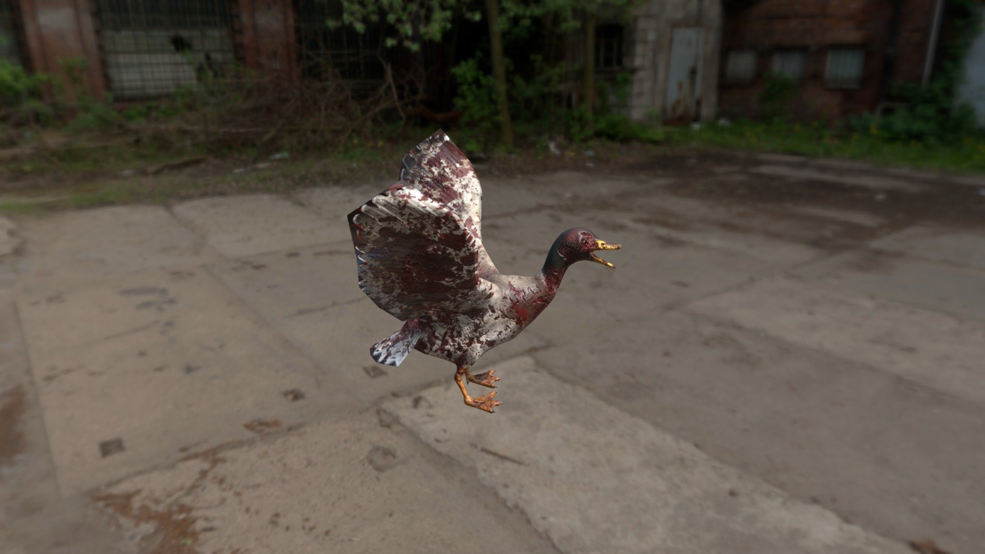 Duck dead - 3D model by wetpwnage [67f1f75] - Sketchfab