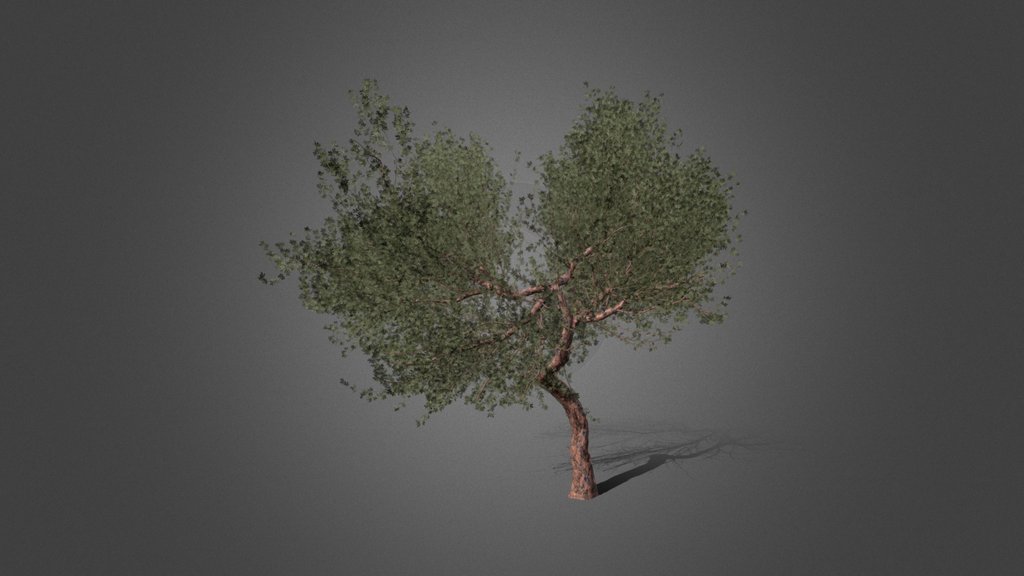 Green - A 3D model collection by Dan Kozachkov (@timoroflya) - Sketchfab