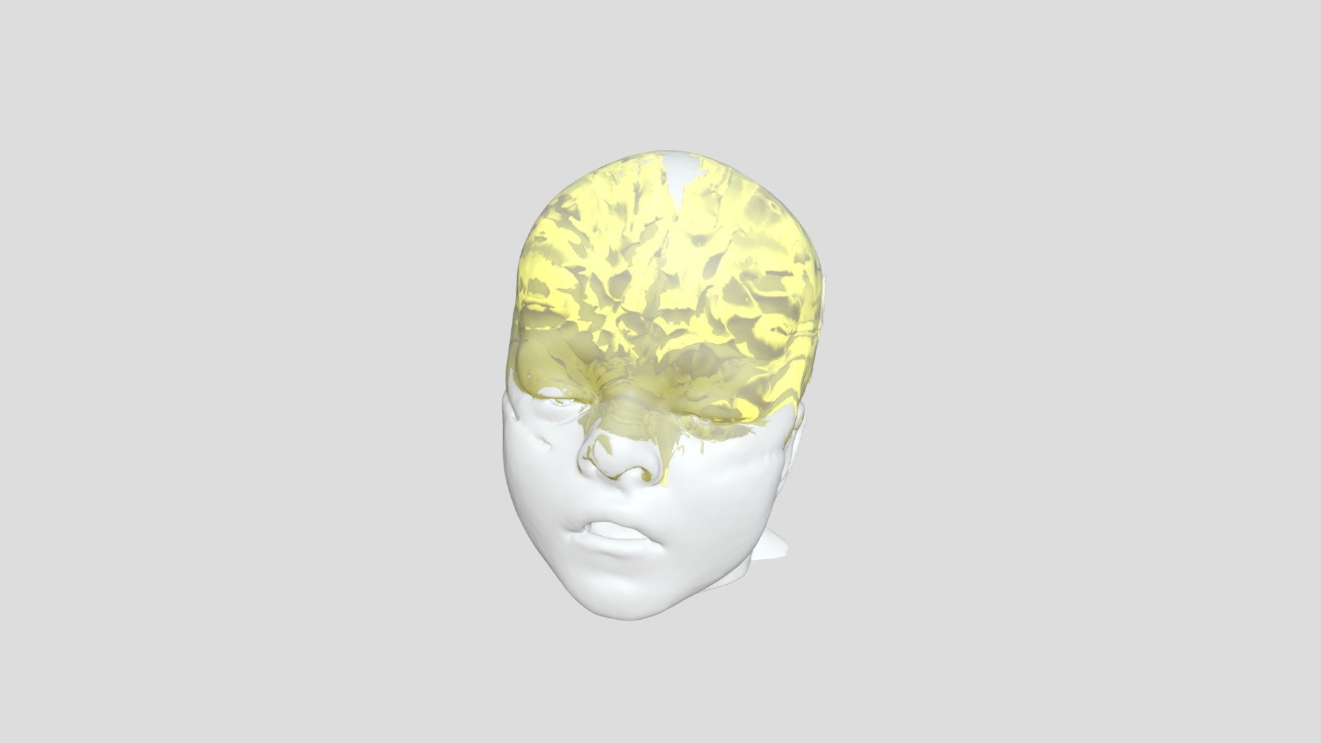 Substantia alba - 3D model by kucharm [67fdc77] - Sketchfab