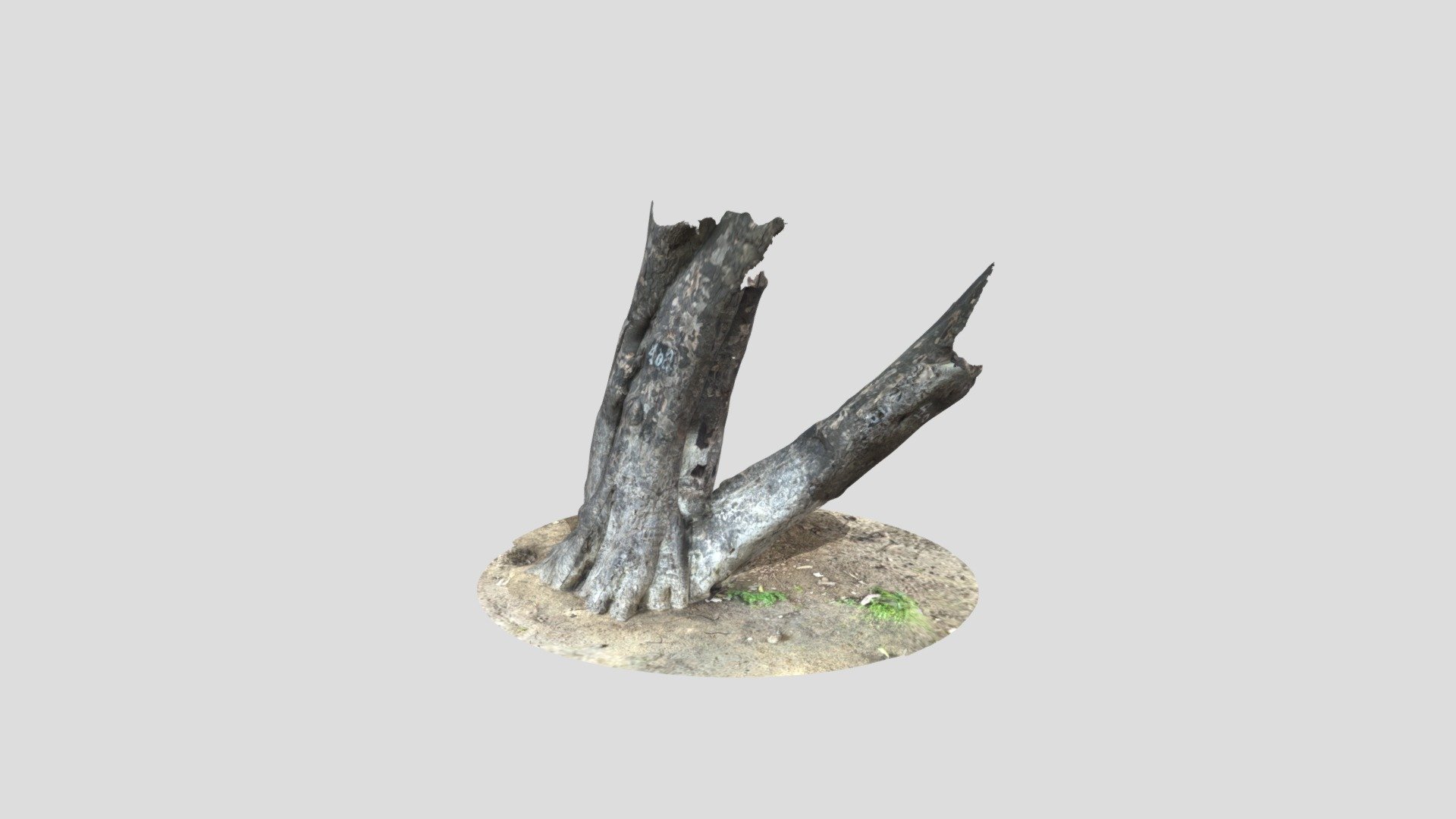 Tree Trunk - 3D model by Sandeep.Kamal [67fde37] - Sketchfab