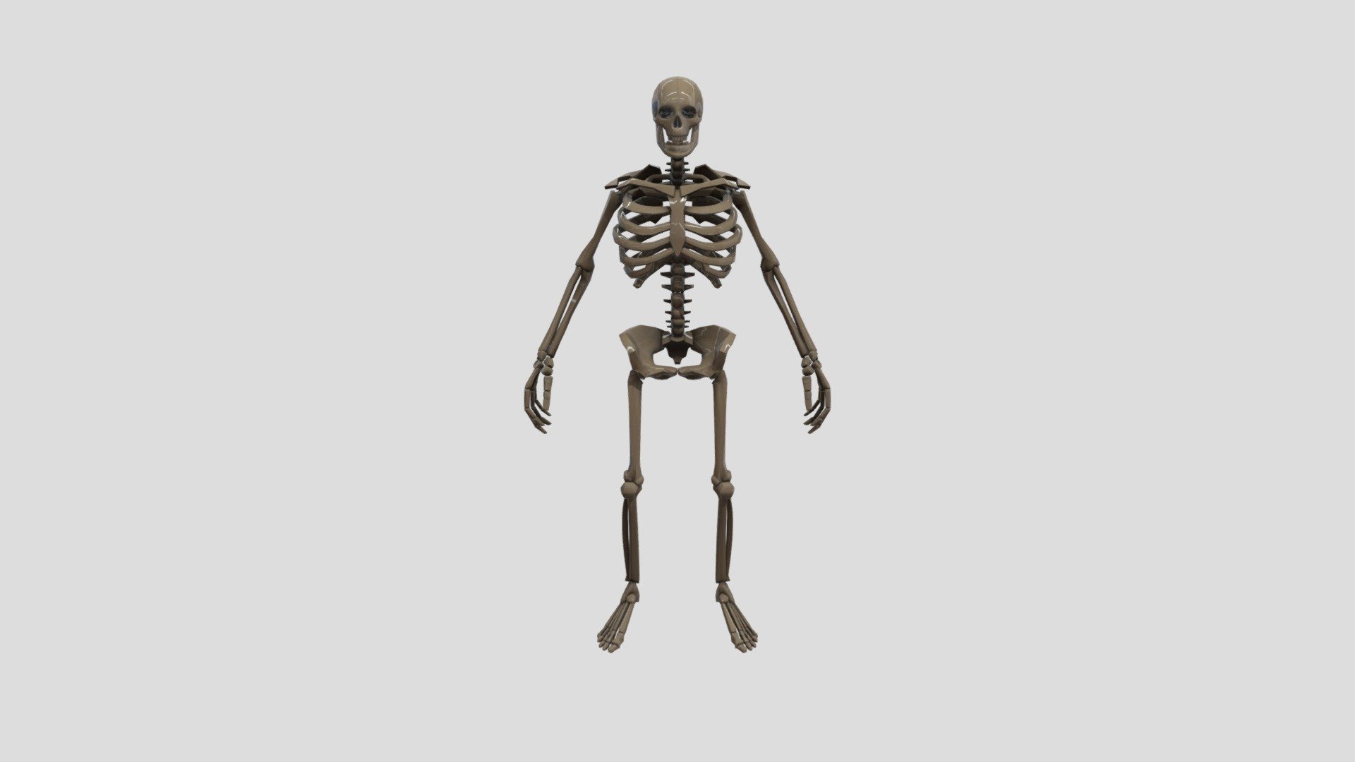 Dafuqboom skeleton meme - Download Free 3D model by ASP ...