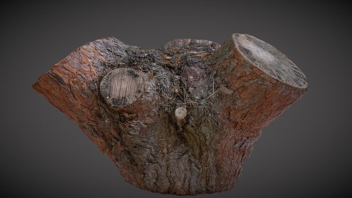Cut-tree 3D models - Sketchfab