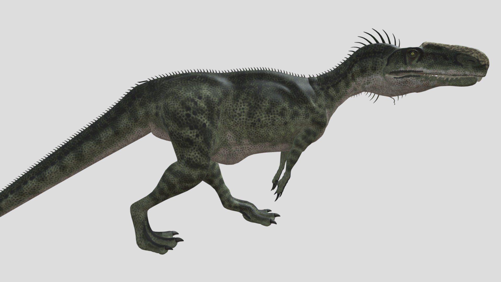 monolophosaurus - Download Free 3D model by seth the yutyrannus ...