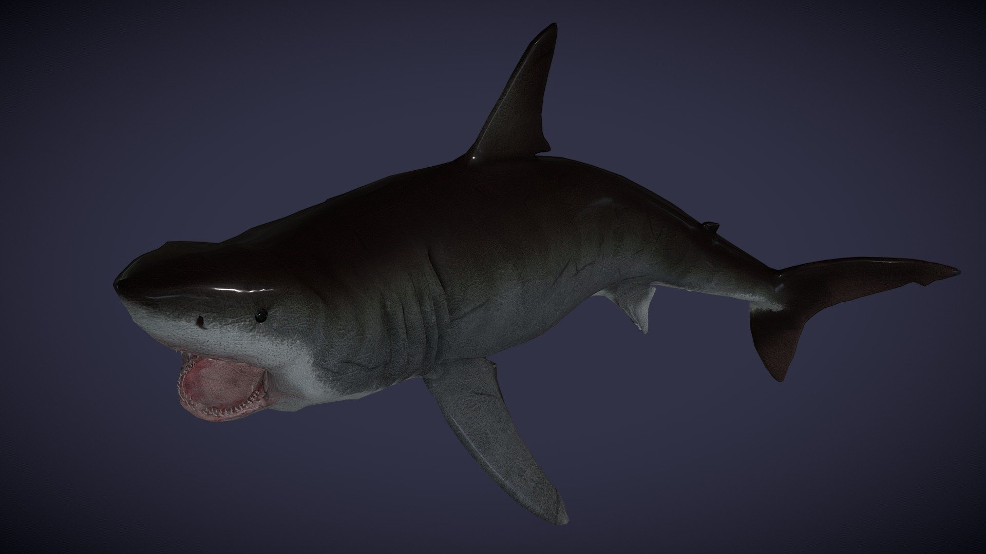 Megalodon - 3D model by ultamateterex2 [6812e31] - Sketchfab