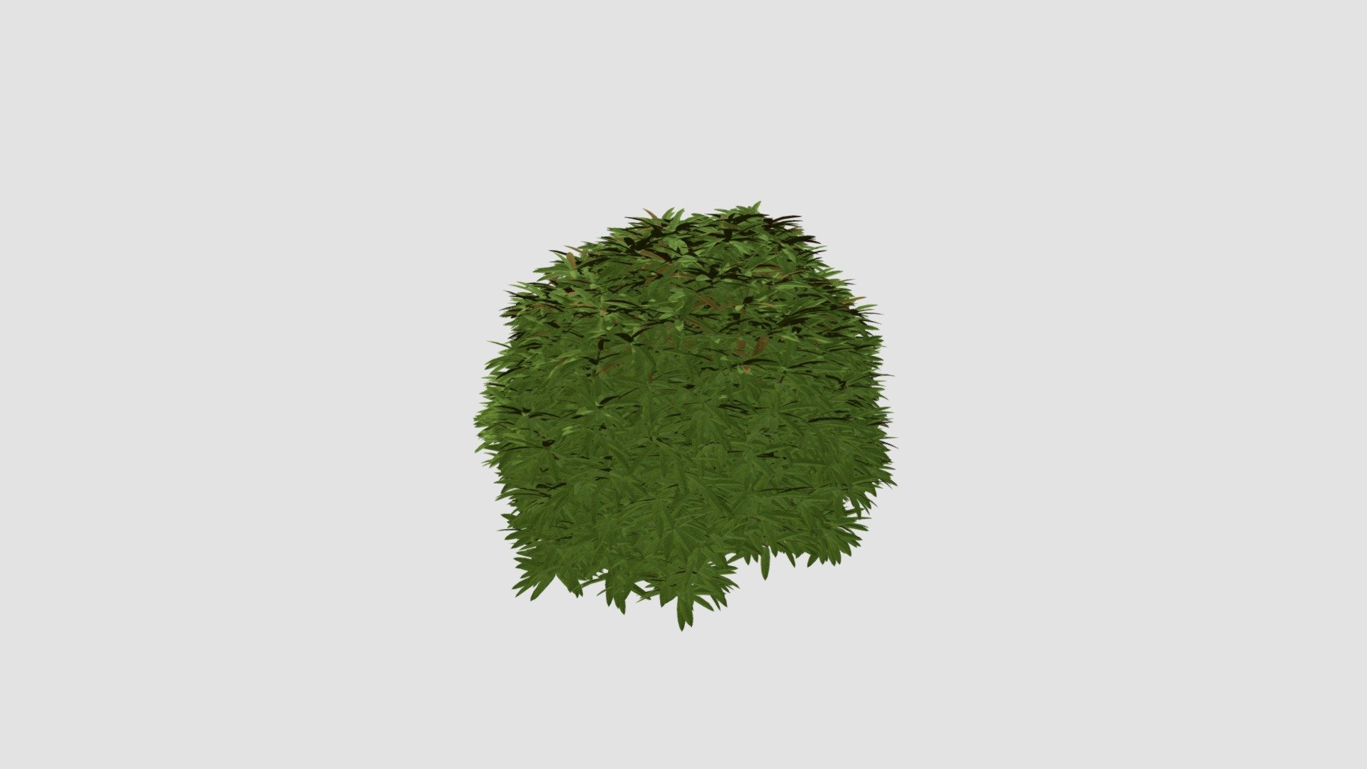Plant for c4d - Buy Royalty Free 3D model by Evermotion [68144cb ...