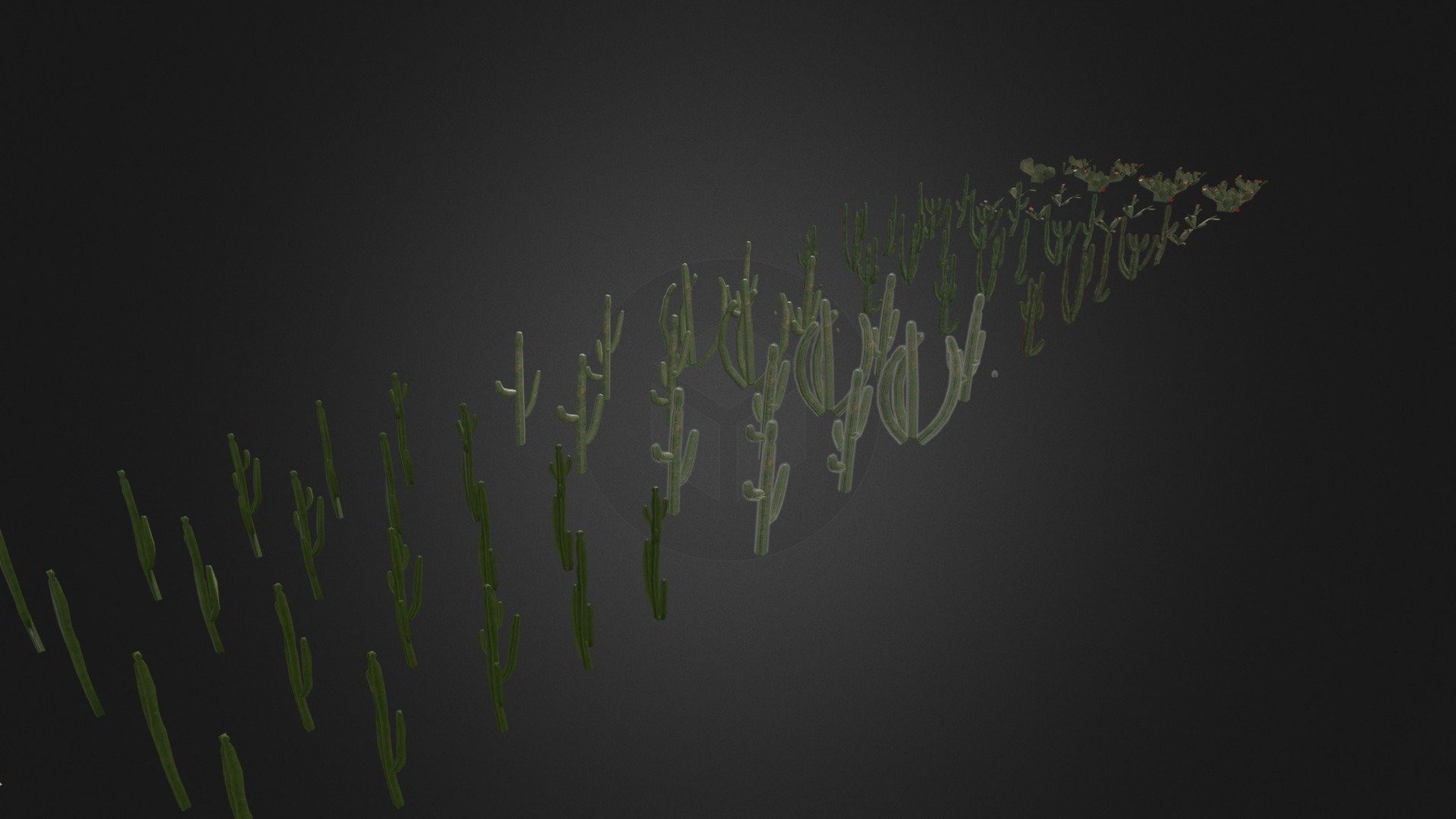 CASTUS - 3D model by SeferotR [68166bb] - Sketchfab