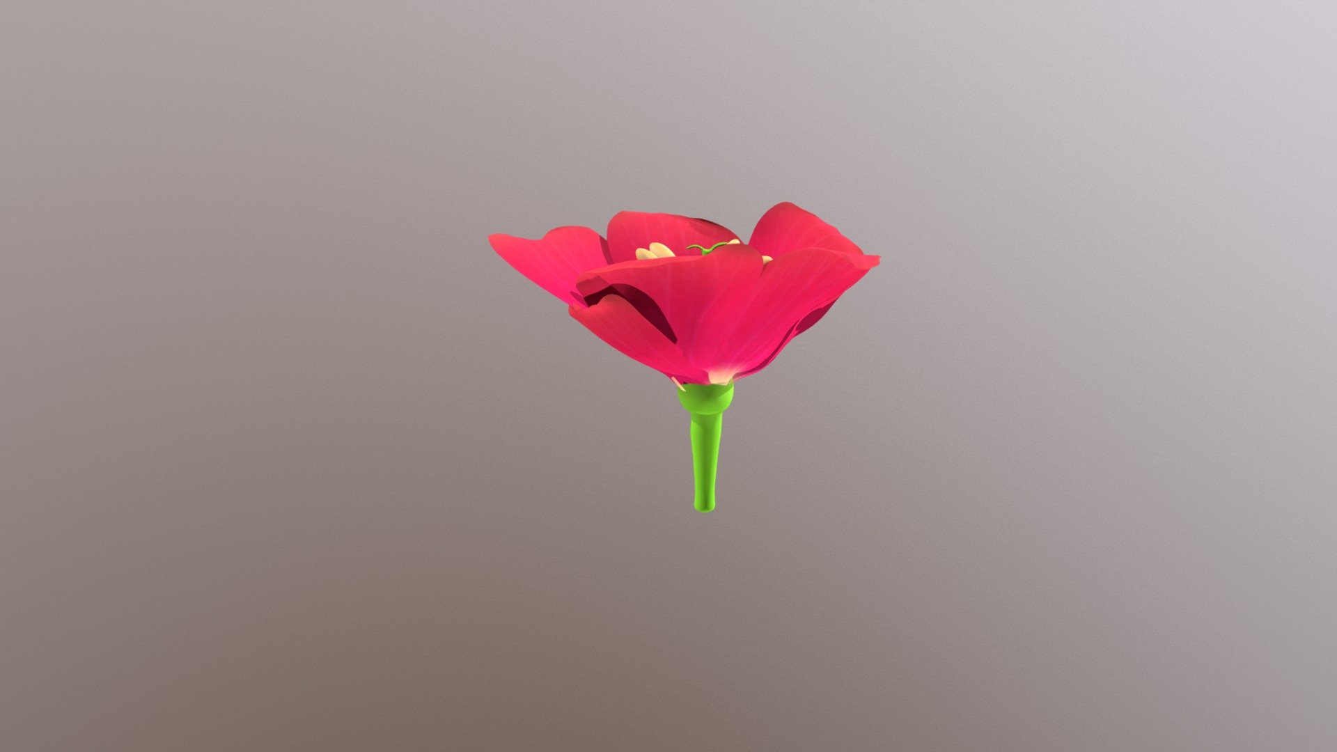 finish - 3D model by Scan Book (@Thearith) [6831f5c] - Sketchfab