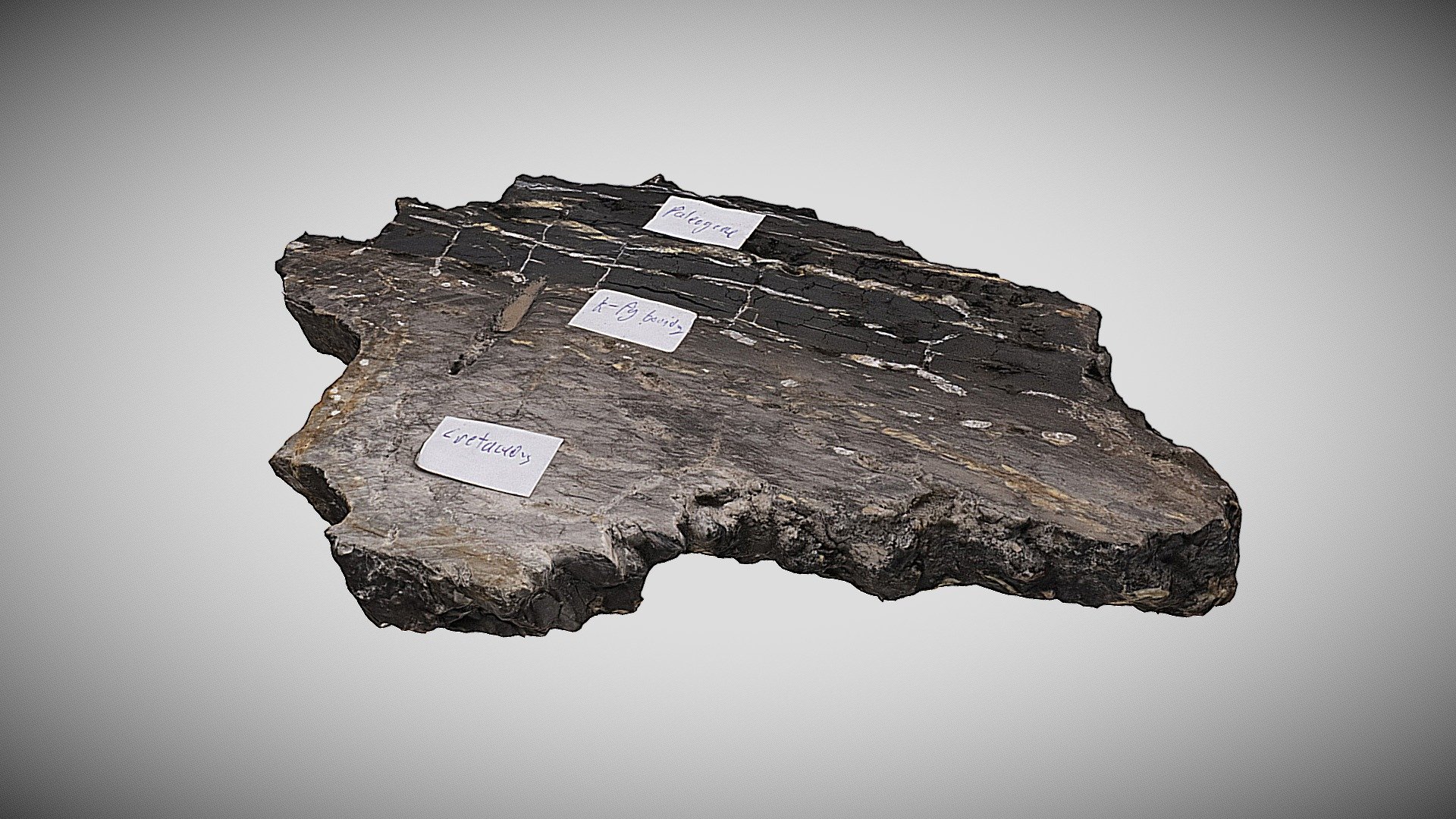 Ep. #65 K-Pg Boundary Shale - Download Free 3D model by Boston College ...