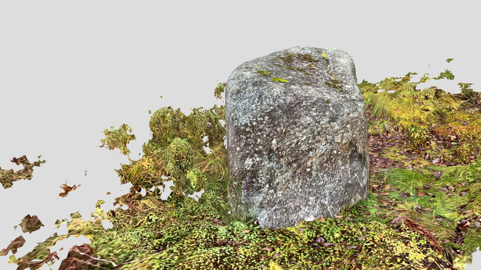 Granite Glacial Erratic - Download Free 3D model by timfedak [683730e] - Sketchfab