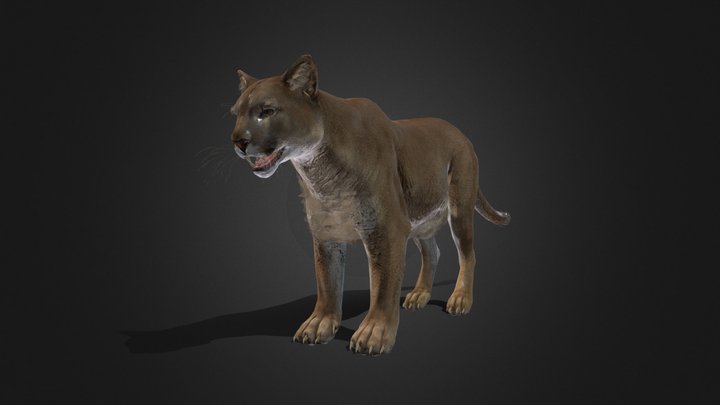 Vray 3D models - Sketchfab