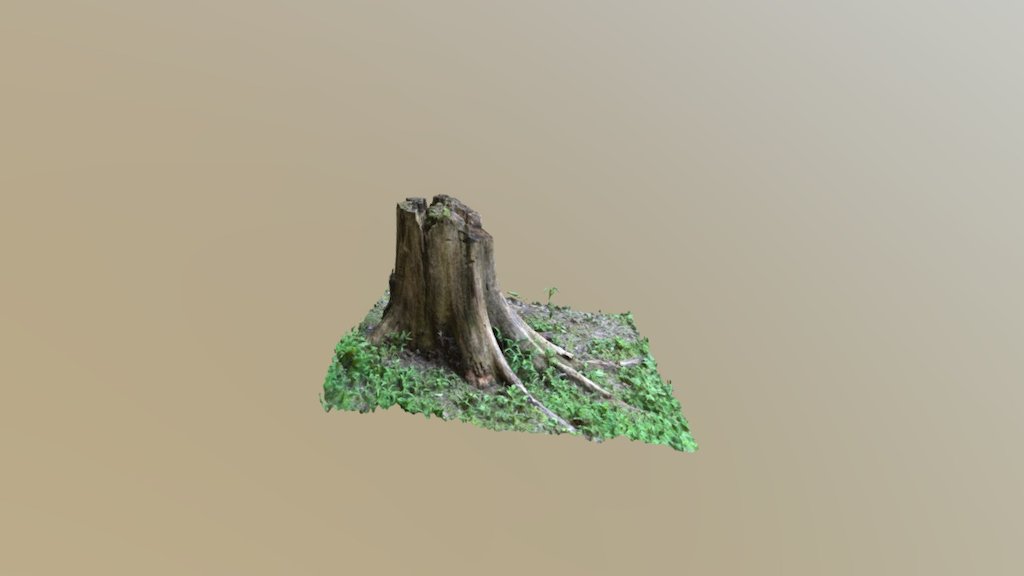 Stump 4 - Download Free 3D model by pavus [683ffbe] - Sketchfab
