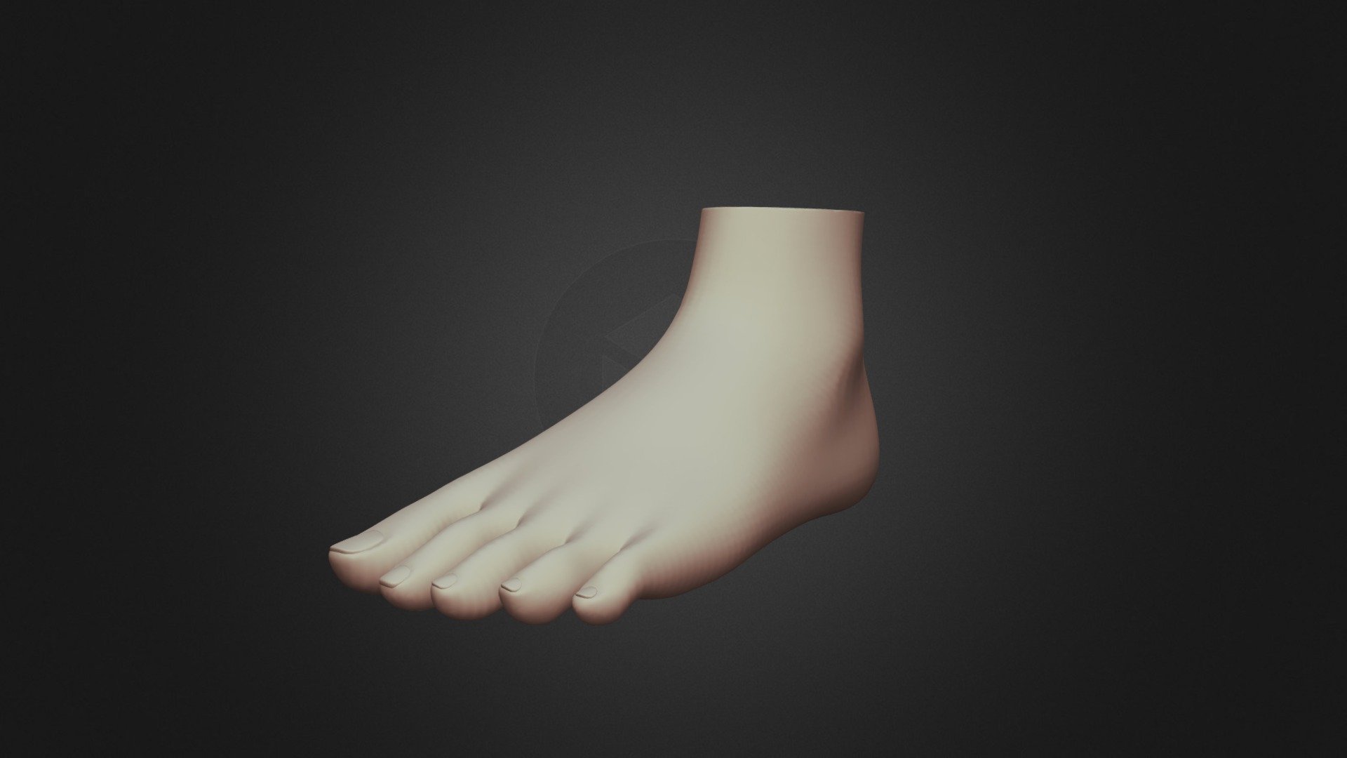 Foot - Download Free 3D model by Teo (@szilla.mini) [6848e7f] - Sketchfab