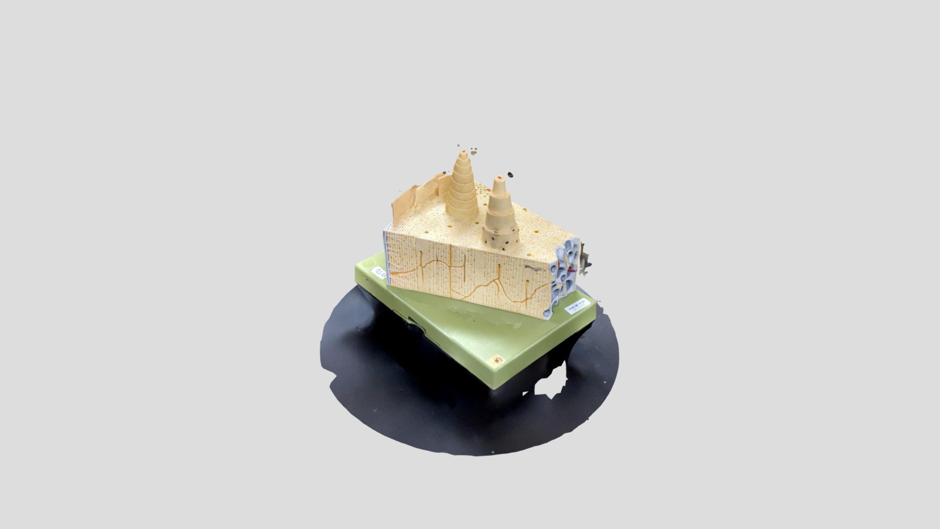 Bone Wedge Model - 3D model by tsamacc [684b60c] - Sketchfab
