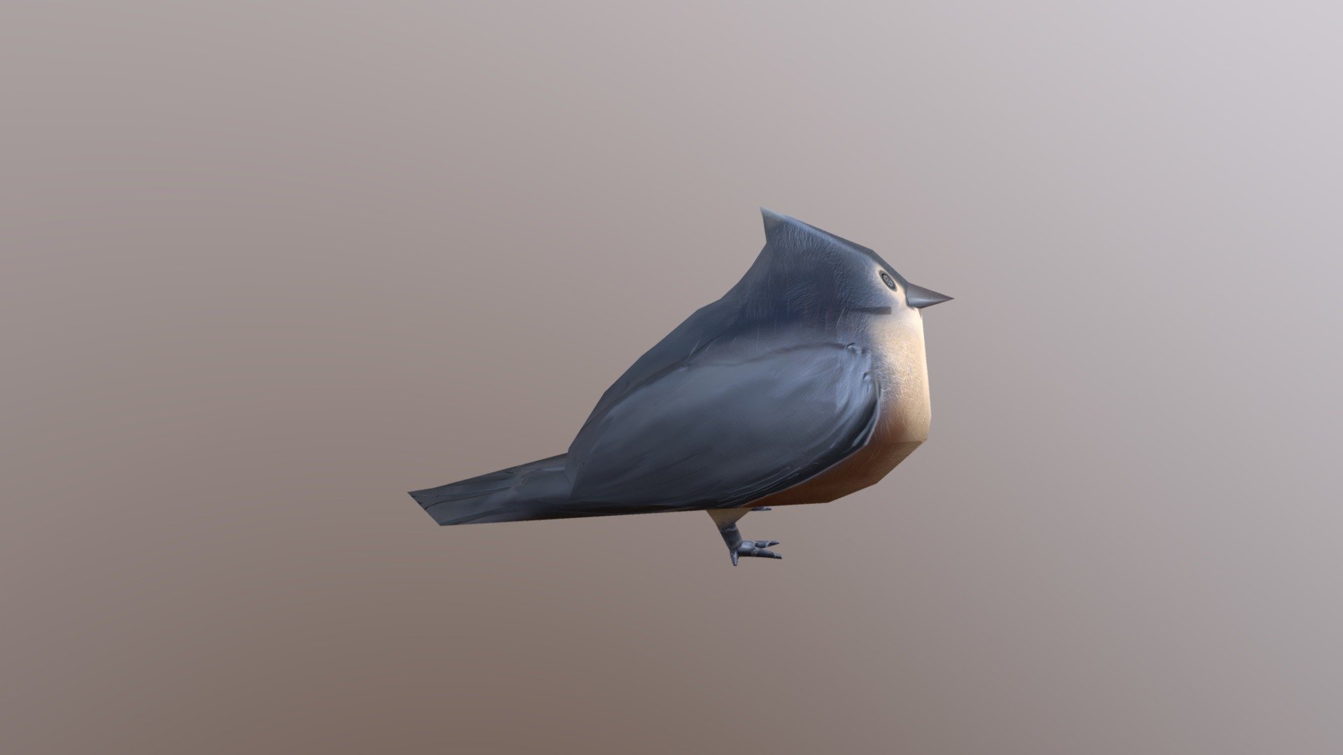 Puppet Tufted Titmouse - 3D model by Po_Tatertots [68596a8] - Sketchfab