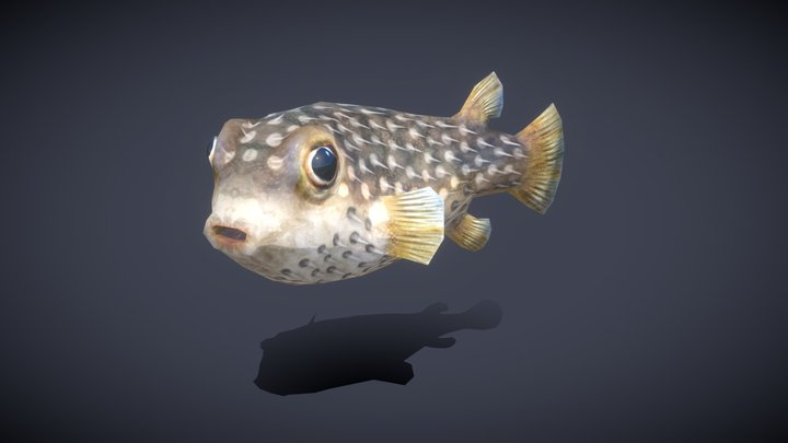 Globefish 3D models - Sketchfab