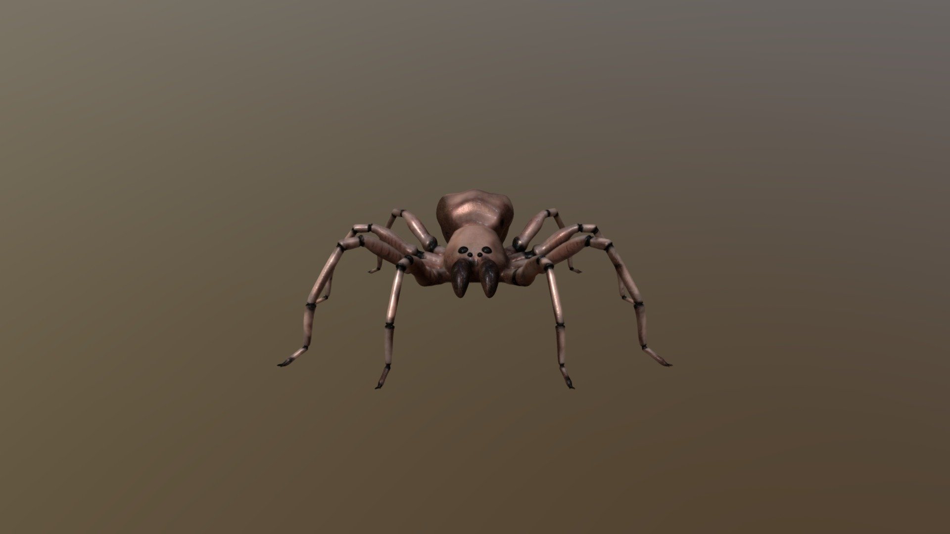 Spider - 3D model by misfit410 [6869a73] - Sketchfab