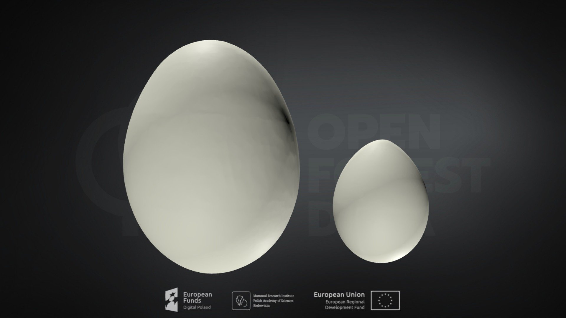 Hazel grouse (small) and Chicken (big) eggs - Download Free 3D model by ...