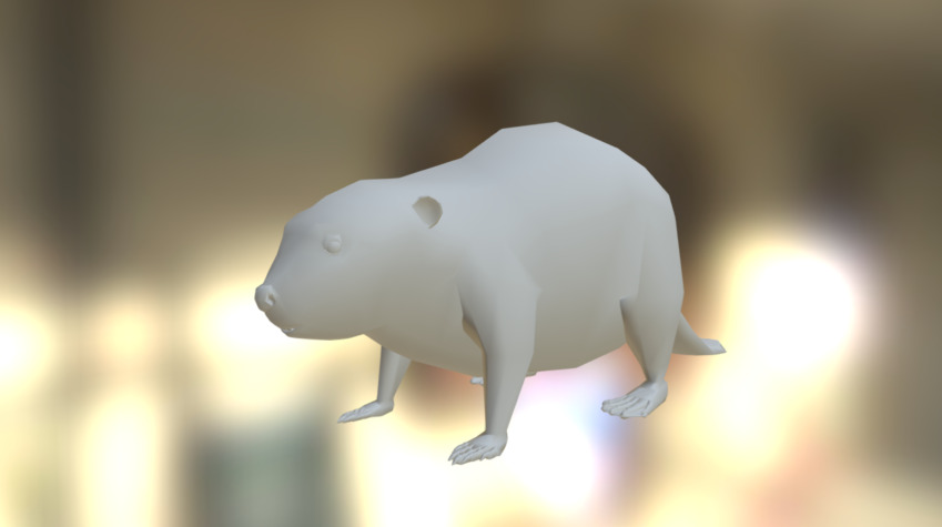 Beaver - 3D model by bstout [687657a] - Sketchfab