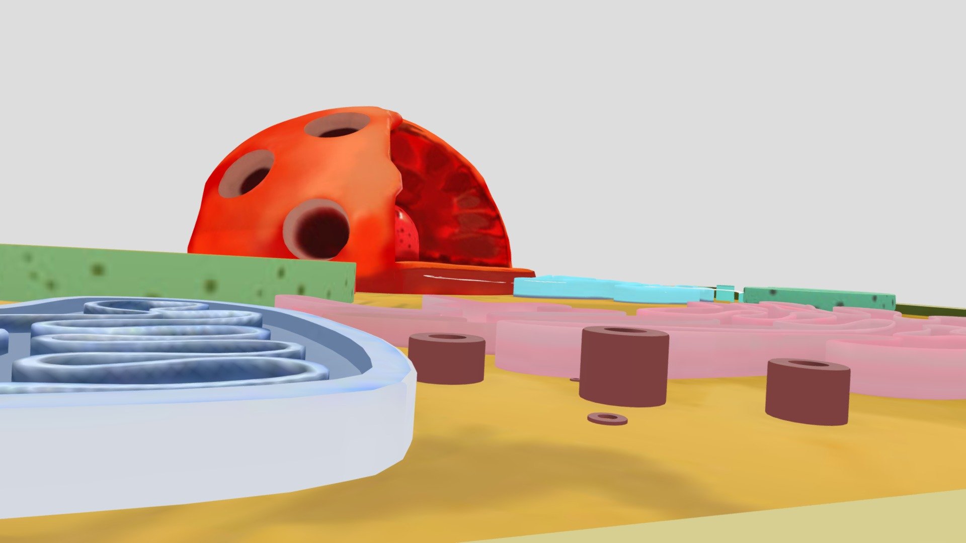 plant cell - 3D model by karinafirstiary [687d5b7] - Sketchfab