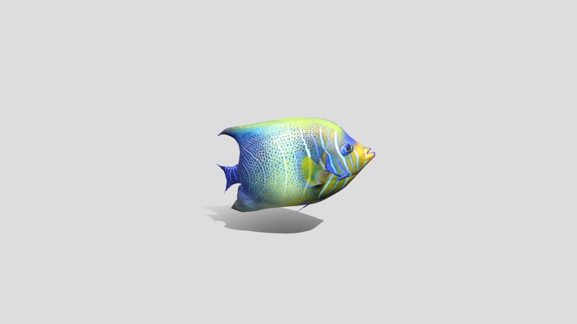 ikan elsa - 3D model by elsa.novianti.en [687dd9f] - Sketchfab