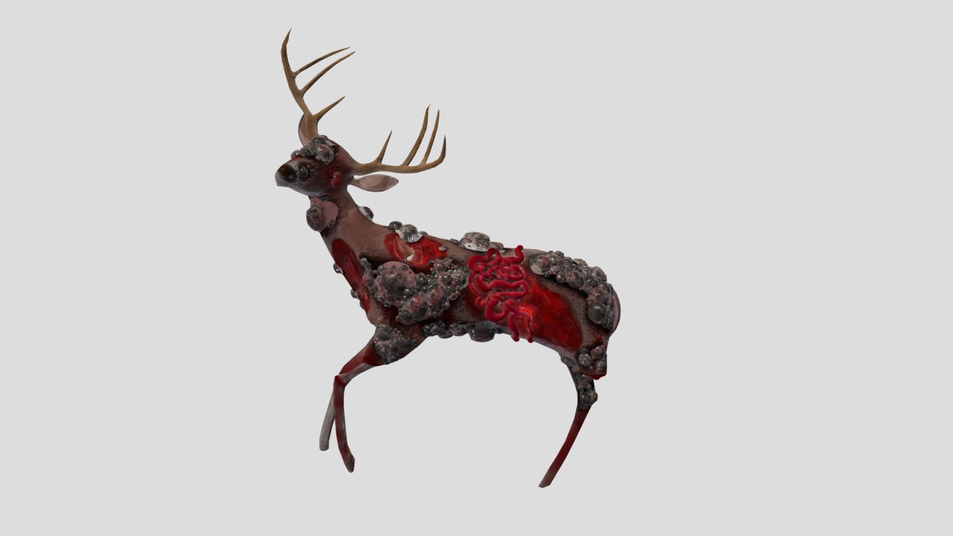 Mutilated Deer - 3D model by dylhouse [68880c3] - Sketchfab