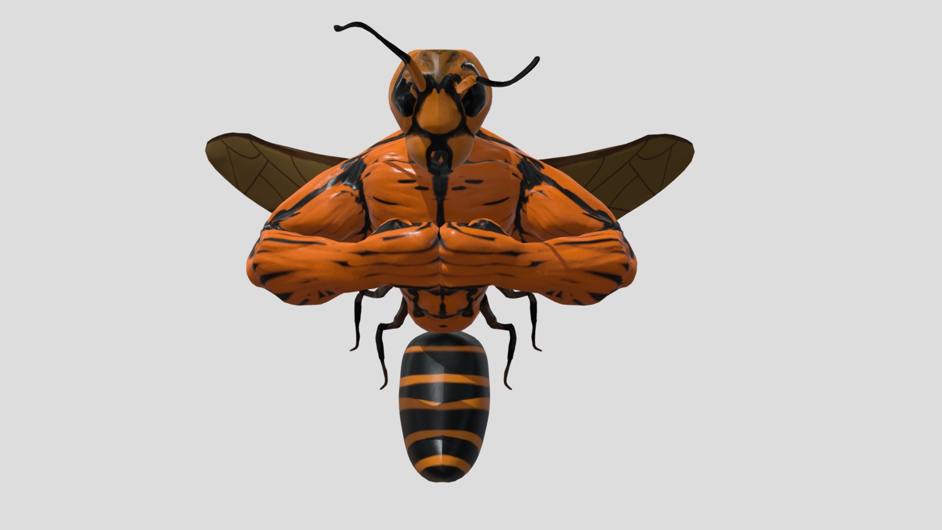 muscle wasp - 3D model by alex1217will [6888504] - Sketchfab