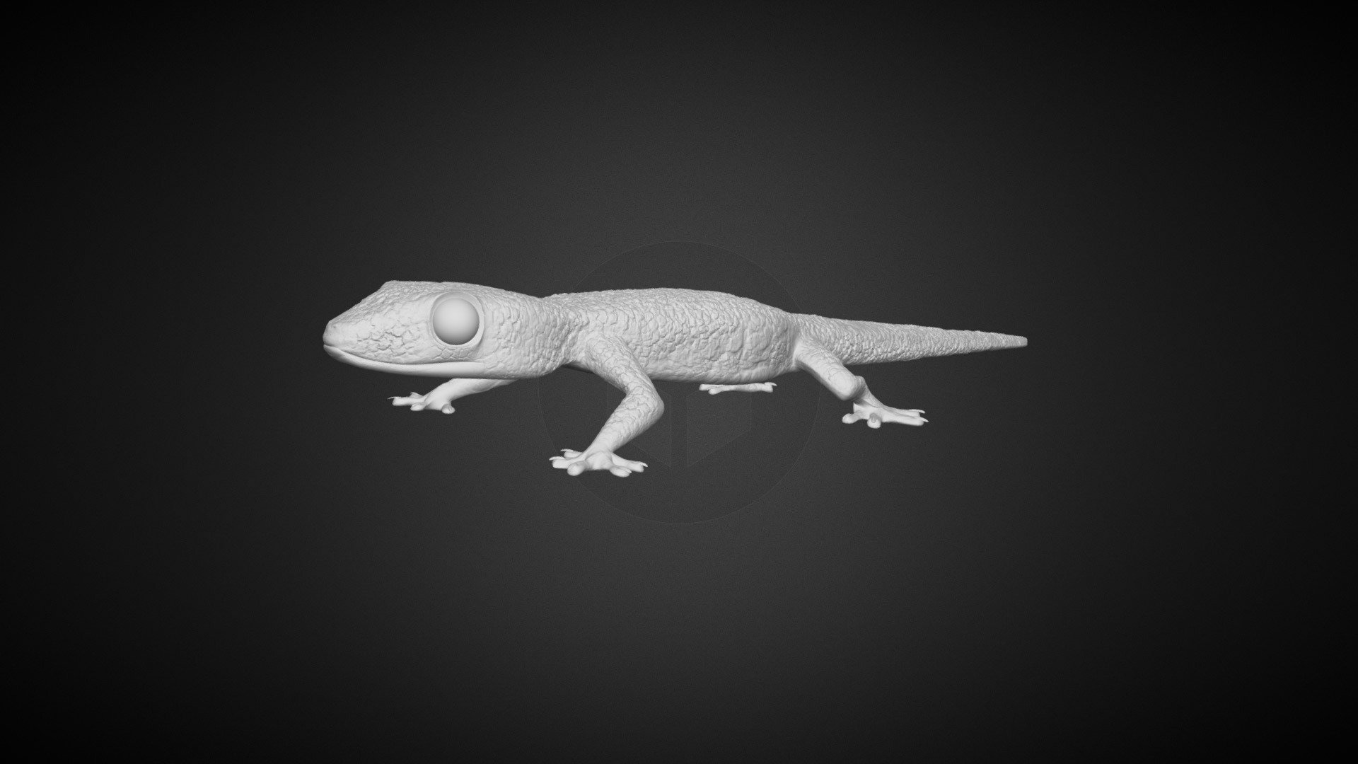 Lizard - 3D model by lakshvi (@lakshvinnair) [68942a4] - Sketchfab