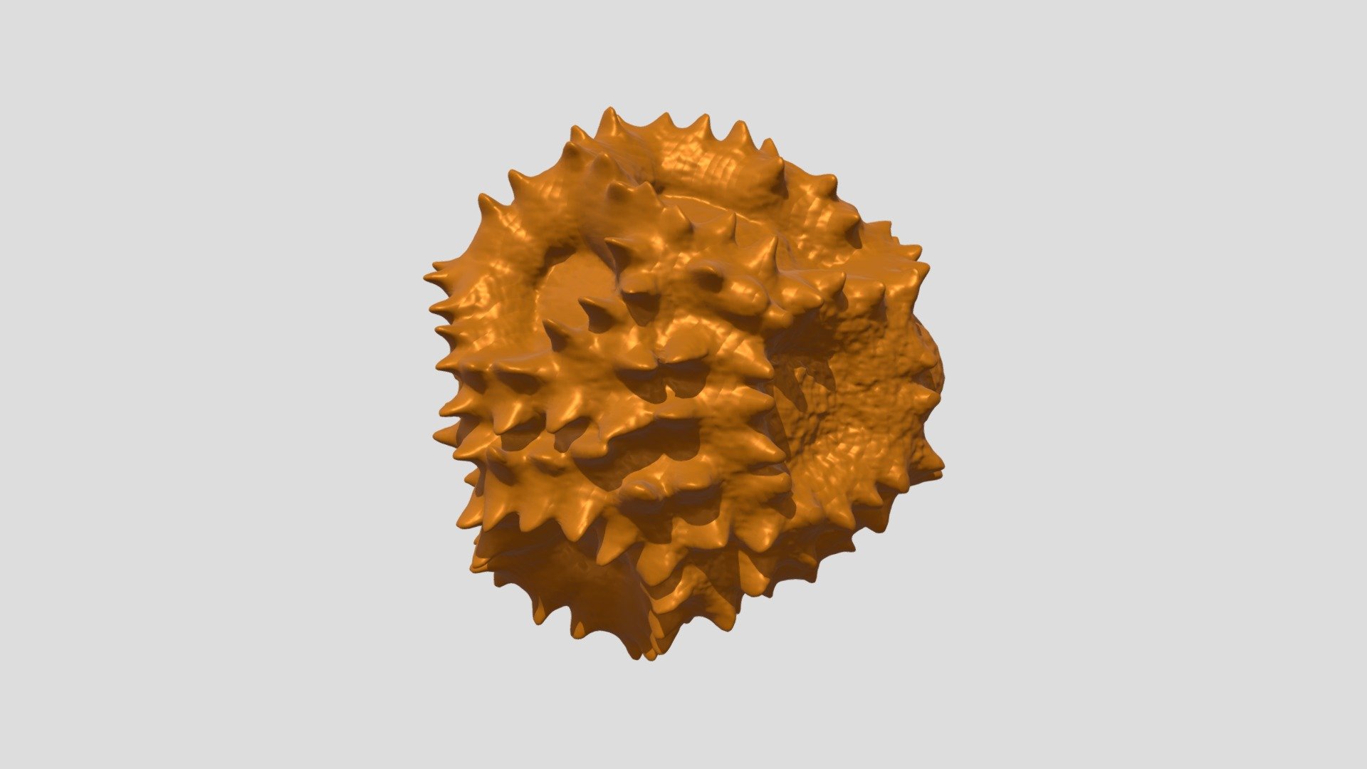 Dandelion (Taraxacum officinale) pollen - 3D model by Cardiff ...