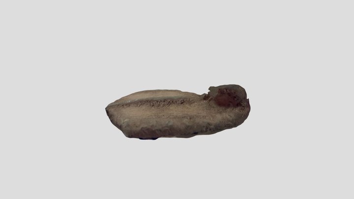 Seal-matrix 3D models - Sketchfab