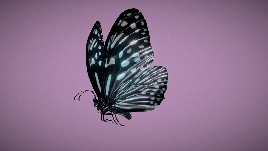 Butterfly - A 3D model collection by leyvorr - Sketchfab
