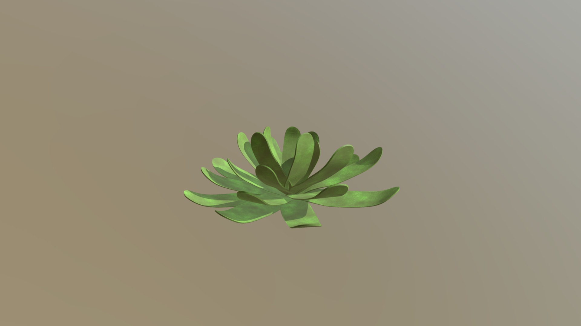 Plant - 3D model by GavinCasebier [68a9f93] - Sketchfab
