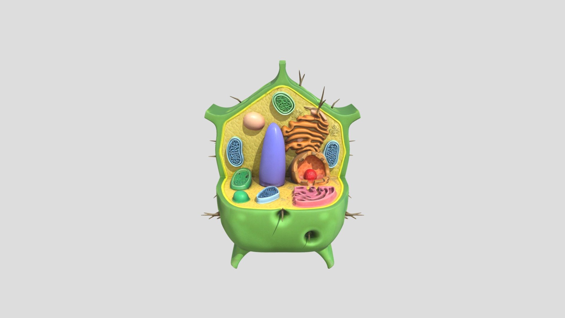 Plant_Cell_Diagram - Download Free 3D model by clarkjulians12855 ...