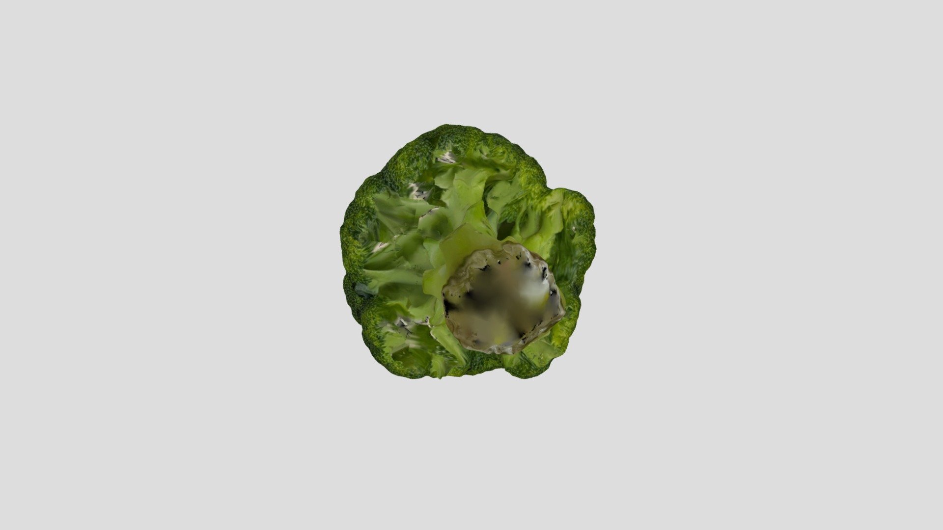broccoli - 3D model by qufdlsnsk [68afb65] - Sketchfab